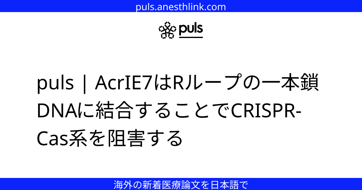 puls | AcrIE7はRループの一本鎖DNAに結合することでCRISPR-Cas系を阻害する